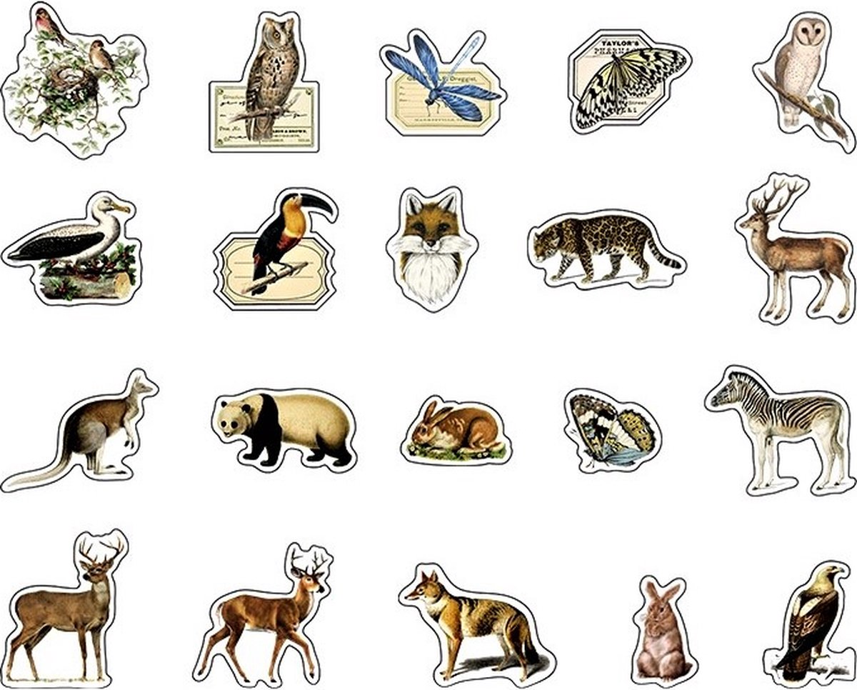 Transparante Stickers - Dieren - 40 stuks - Doorzichtige Sticker ...
