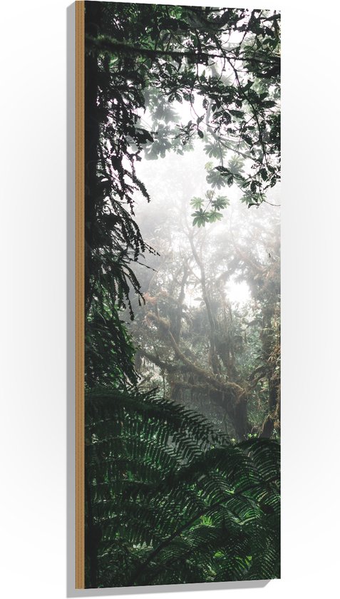 WallClassics - Hout - Begroeiing in Regenwoud - 40x120 cm - 12 mm dik ...