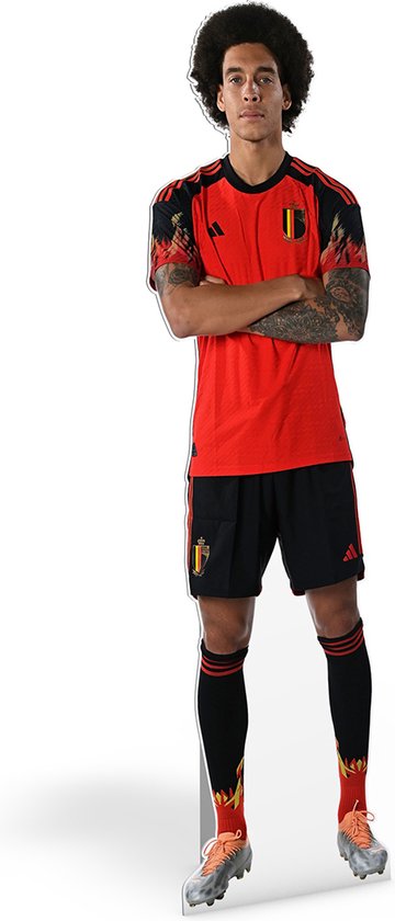 MySportsHero - Kartonnen standee - Axel Witsel - Rode Duivels - WK2022 ...