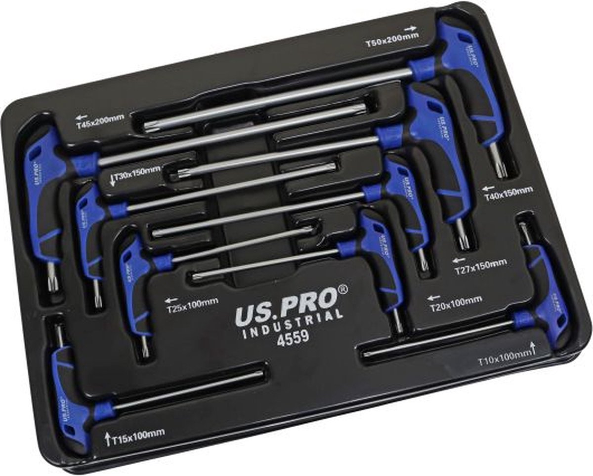 Professionele Torx sleutelset met boring en T-handvat in plastic inlay ...