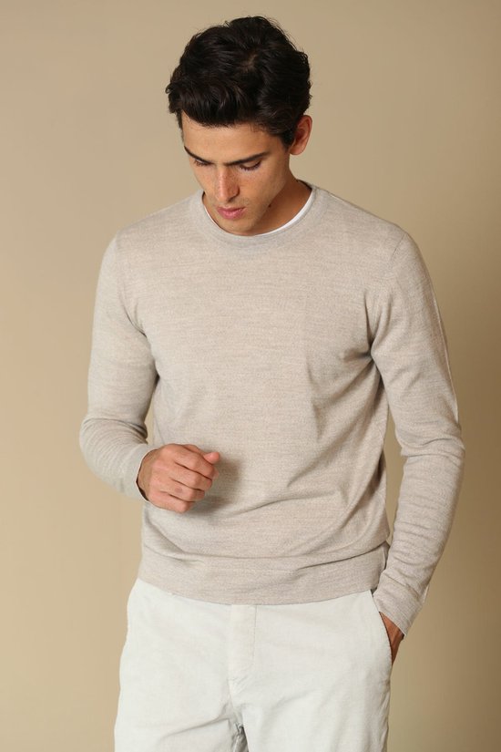 Dion Men's Sweater | bol