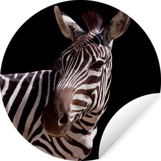 WallCircle - Muurstickers - Behangcirkel - Nieuwsgierige zebra op zwarte achtergrond -... | bol