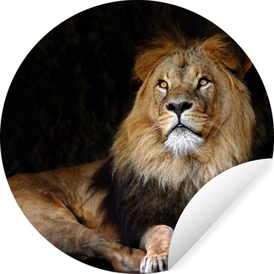 WallCircle - Muurstickers - Behangcirkel - Leeuw - Zwart - Wilde dieren - ⌀ 30 cm -... | bol