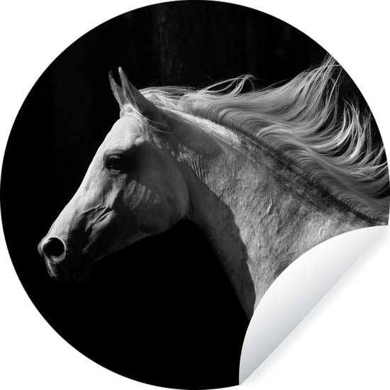 WallCircle - Muurstickers - Behangcirkel - Paard - Wit - Zwart - ⌀ 30 cm - Muurcirkel... | bol