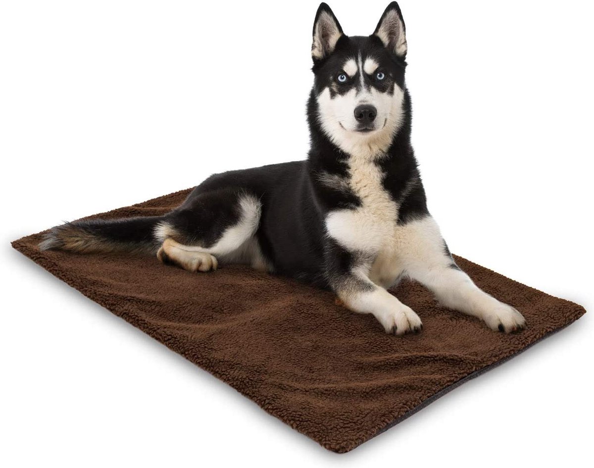 Bella & Balu Zelfverwarmende mat voor honden en katten (100 x 70 cm ...