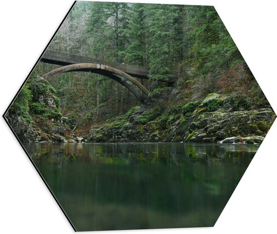 WallClassics - Dibond Hexagon - Moulton Falls Bridge - Brug in het Bos ...