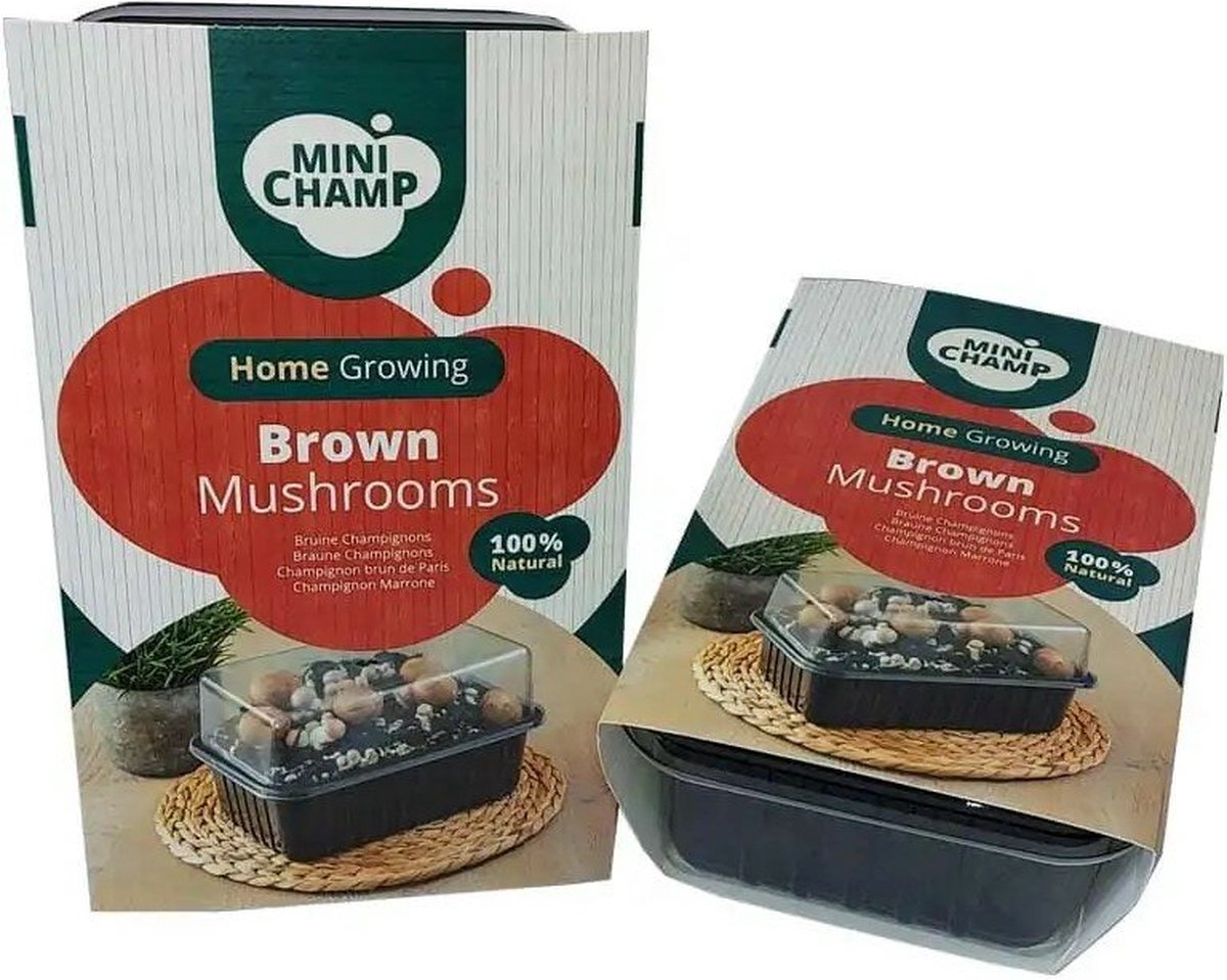 Bruine Champignons - Kastanje Champignons - Kweekset - Kweken - Garden ...
