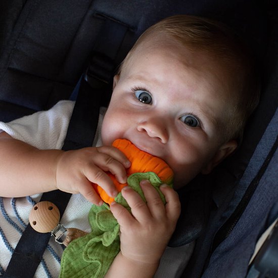 Oli&Carol Cathy the Carrot Mini Doudou-Teether | bol