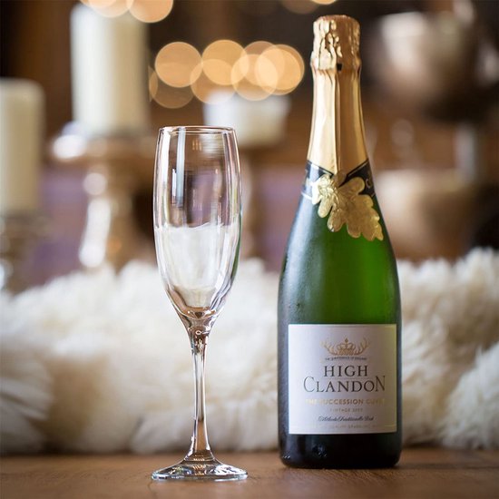 Argon tafelgerei Champagne Flutes - Gift Box van 6 Glasses - 220ml - 7 ...