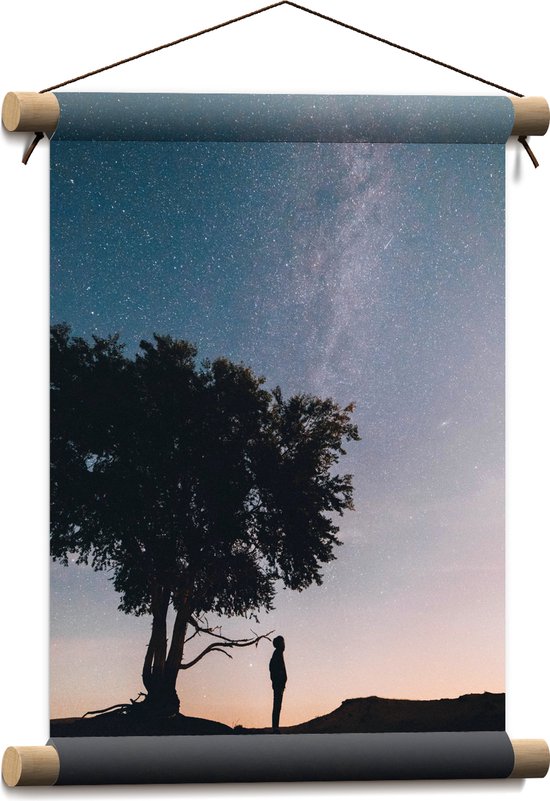 WallClassics - Textielposter - Silhouet van Persoon onder Boom bij Sterren - 30x40 cm... | bol