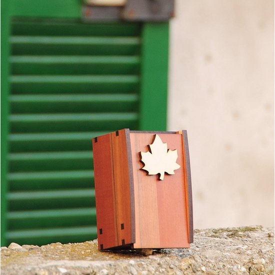 Radbox secret box puzzel van hout | Games | bol.com