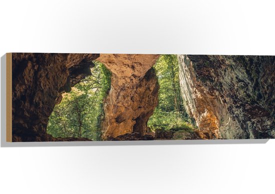 WallClassics - Hout - Grote Grot in Bos - 90x30 cm - 12 mm dik - Foto ...