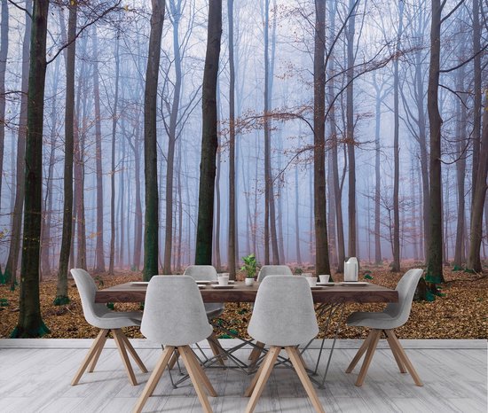 Fotobehangkoning - Bos met kale Bomen - Vliesbehang - Behang - 152,5 x ...