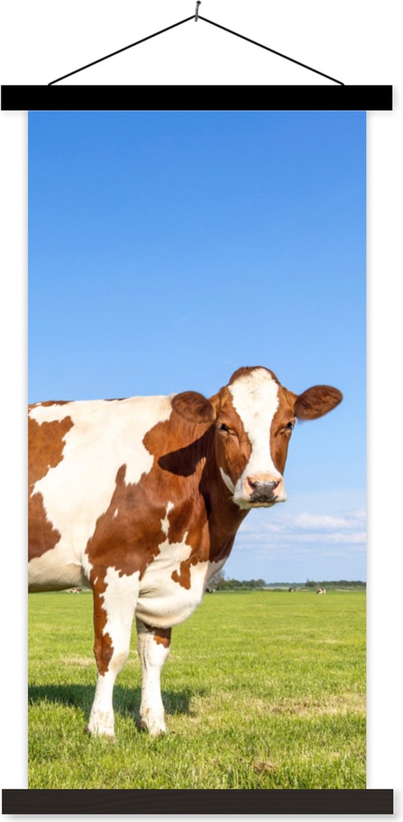 Porte-affiche avec affiche - Affiche scolaire - Vaches - Ferme - Herbe ...