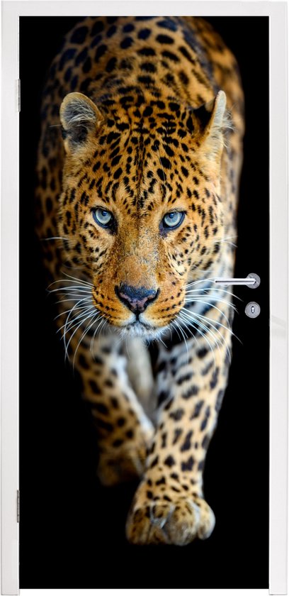 Deursticker Luipaard - Dieren - Portret - Wilde dieren - Zwart - 75x205 cm - Deurposter | bol.com