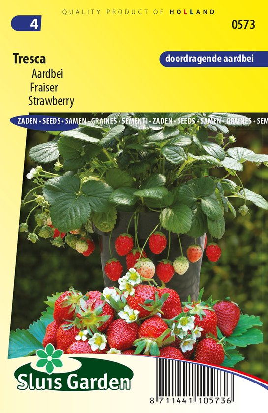 Semences de cultures fruitières Sluis Garden - Strawberry Tresca (semi ...