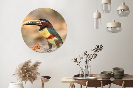 Behangcirkel - Vogel - Toekan - Veren - Landschap - Zelfklevend behang - 100x100 cm -... | bol.com