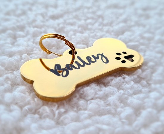 Dierenpenning bot met pootje | Goud | Roestvrij staal RVS | 4 x 2 cm ...