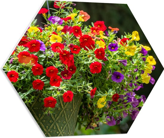 WallClassics - PVC Schuimplaat Hexagon - Bloemenmadjes met Rode, Paarse ...