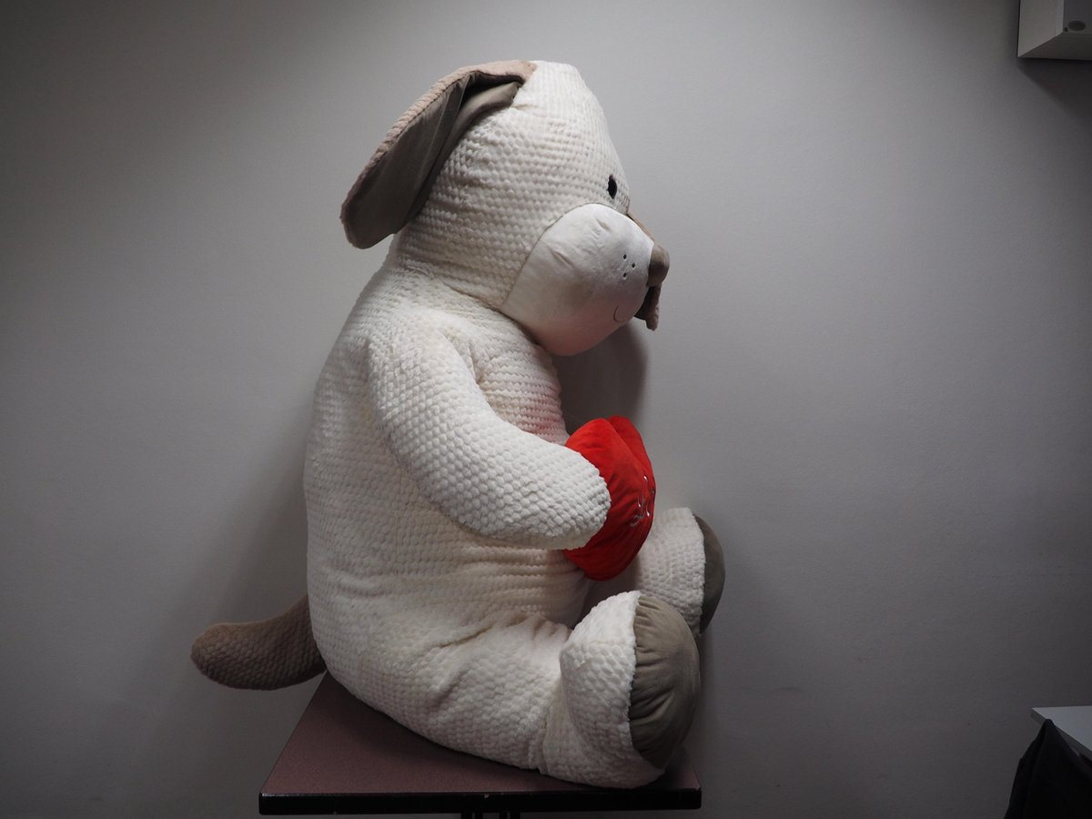 |Knuffel Groot| Hond Hart | Hond Mega | Super pluche | Mega knuffel ...