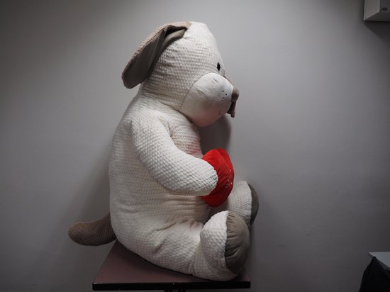 |Knuffel Groot| Hond Hart | Hond Mega | Super pluche | Mega knuffel | | bol