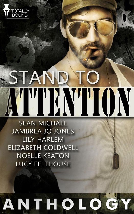 Stand to Attention (ebook), Sean Michael | 9781781849606 | Boeken | bol.com