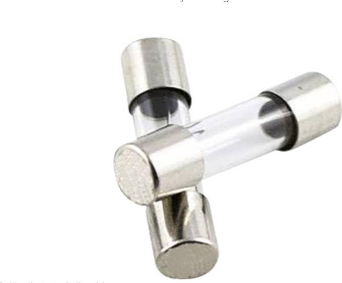 2x Glaszekering F8A - 250V - 20x5mm | bol.com