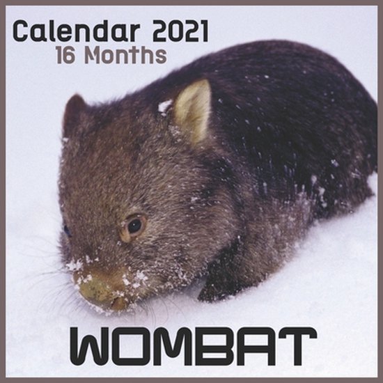 Wombat Calendar 2021 16 Months: Cute And Funny Wombat Australian Animal ...