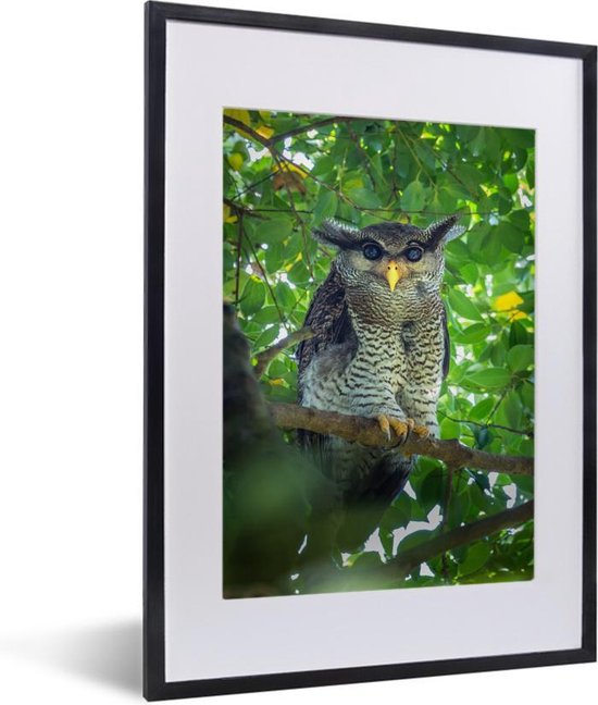 Fotolijst incl. Poster - Een gestreepte bosuil met bijzondere oren op ...
