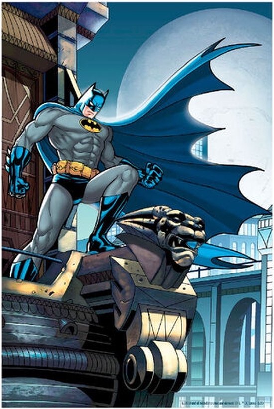DC Comics - Batman op een Gargoyle Puzzel 300 stk 46x31 cm - met 3D ...