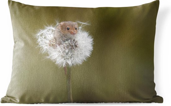 Buitenkussens - Tuin - Jonge muis balanceert op paardenbloem - 50x30 cm ...