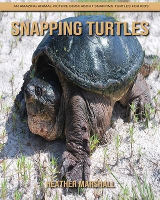 Snapping Turtles, Heather Marshall | 9798738446542 | Boeken | bol.com