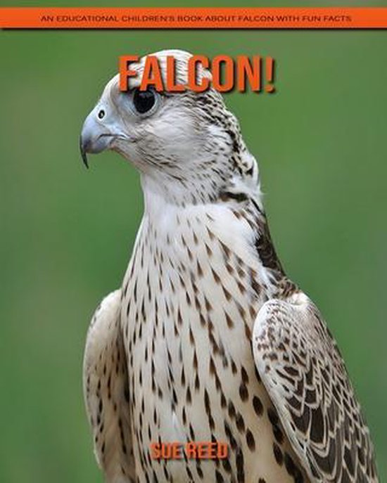 Falcon! An Educational Children's Book about Falcon with Fun Facts, Sue ...