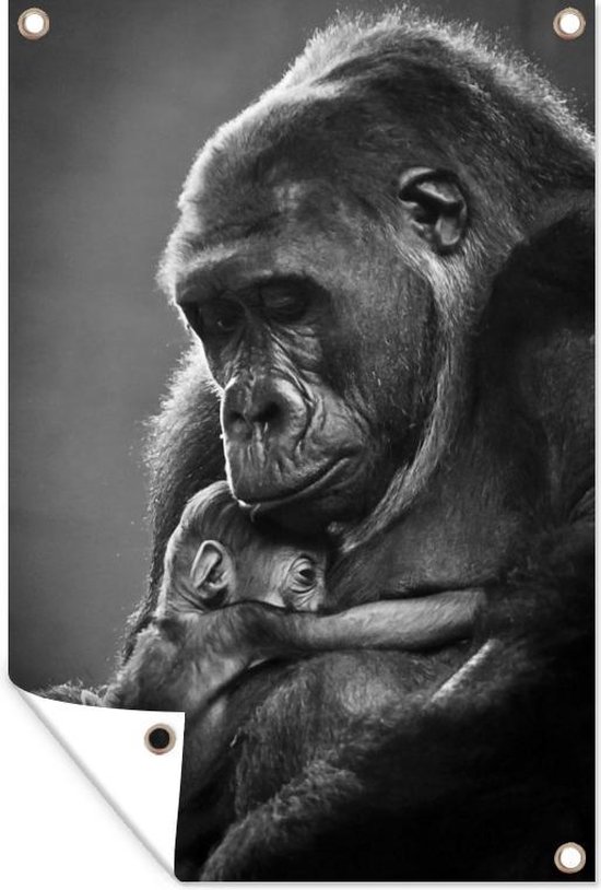 Tuinposters buiten Zwart-wit afbeelding van een moeder gorilla met haar ...