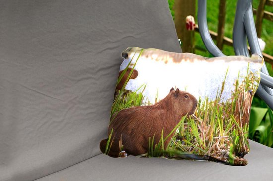 Sierkussen Capibara voor buiten - Een Capibara tussen het hoge riet ...