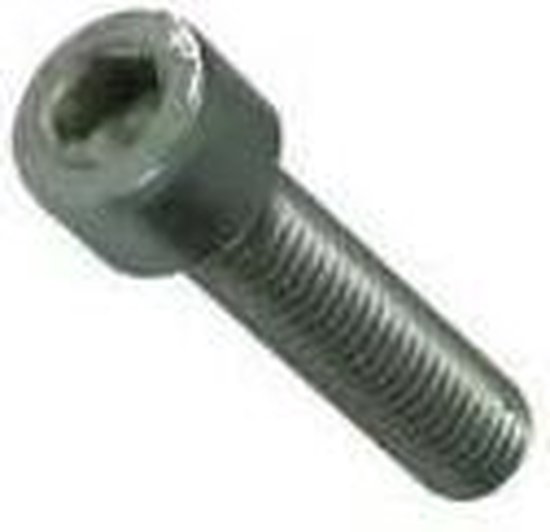 Bofix Inbusbout M8 X 30mm Rvs 12 Stuks | bol