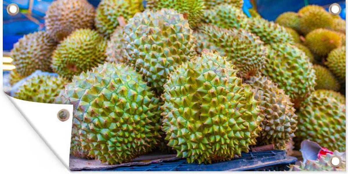 Wanddecoratie buiten De exotische fruit doerian te koop - 160x80 cm ...
