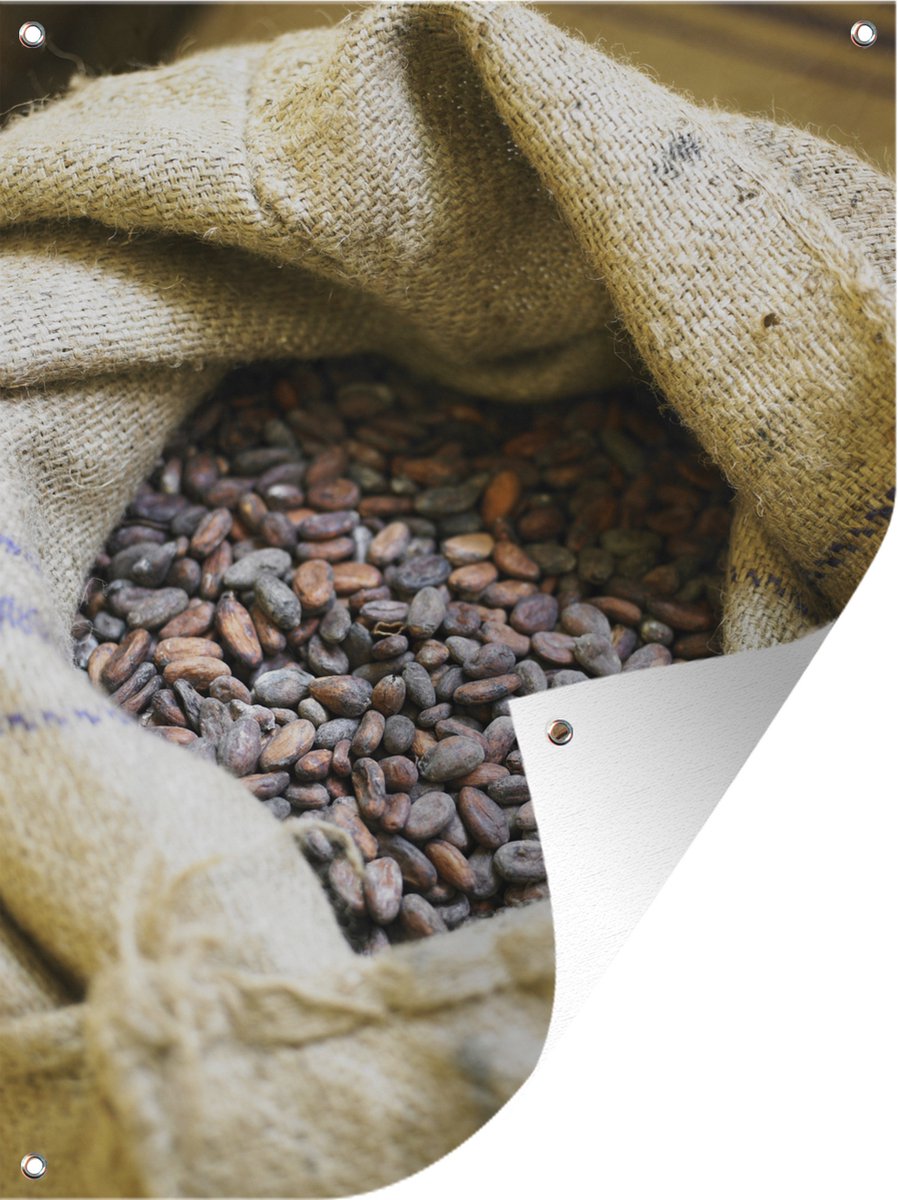 Tuinschilderij Jutezak gevuld met cacaobonen uit Ghana - 60x80 cm ...