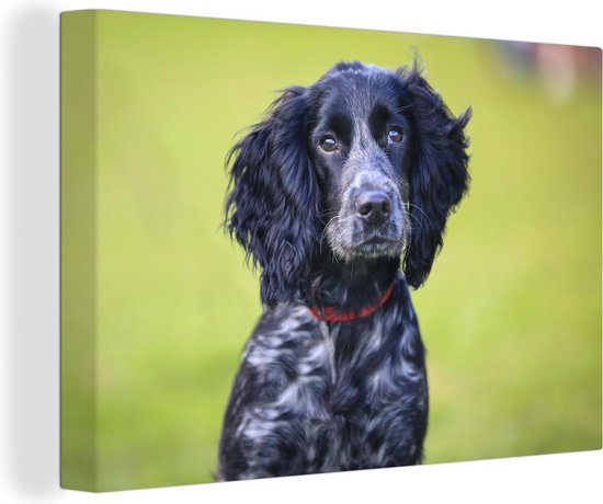 Canvas schilderij 140x90 cm - Wanddecoratie Een zwarte Engelse ...