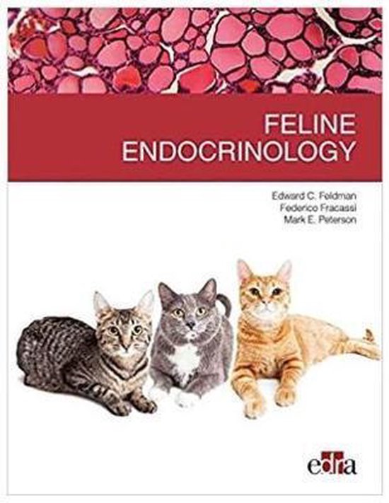 Feline endocrinology | 9788821448379 | Edward C. Feldman | Boeken | bol