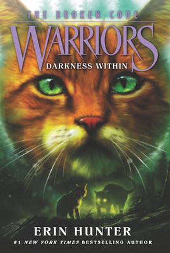 Warriors: The Broken Code- Warriors: The Broken Code #4: Darkness ...