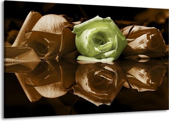 Schilderij Op Canvas - Groot - Roos - Groen, Bruin - 140x90cm 1Luik ...