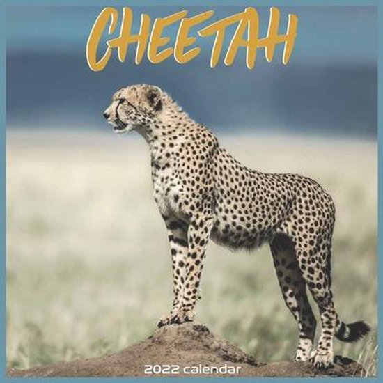 Cheetah 2022 Calendar | bol.com