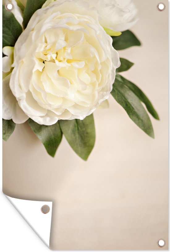 Tuinposter 80x120 cm - Tuindecoratie Witte pioenroos is een witte vaas ...