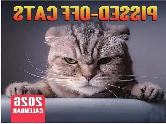 Wandkalender - Kattenkalender - Grappige kenmerken - 2026 - Boze katten ...