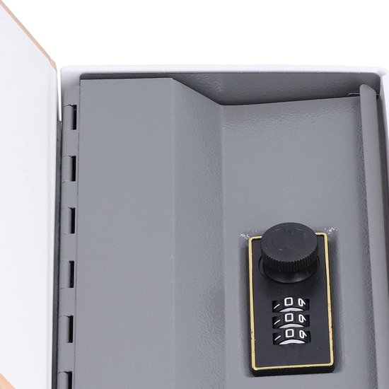 Boekvormige Kluis voor Geld en Waardevolle Spullen met Stalen ...