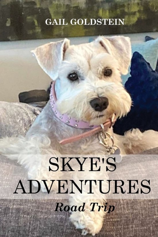 Skye's Adventures, Gail M Goldstein | 9798349679483 | Boeken | bol