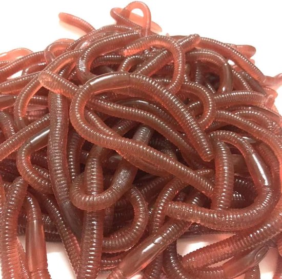 Pack of 10 Plastic False Earthworms - Realistic Soft Elastic Earthworms ...