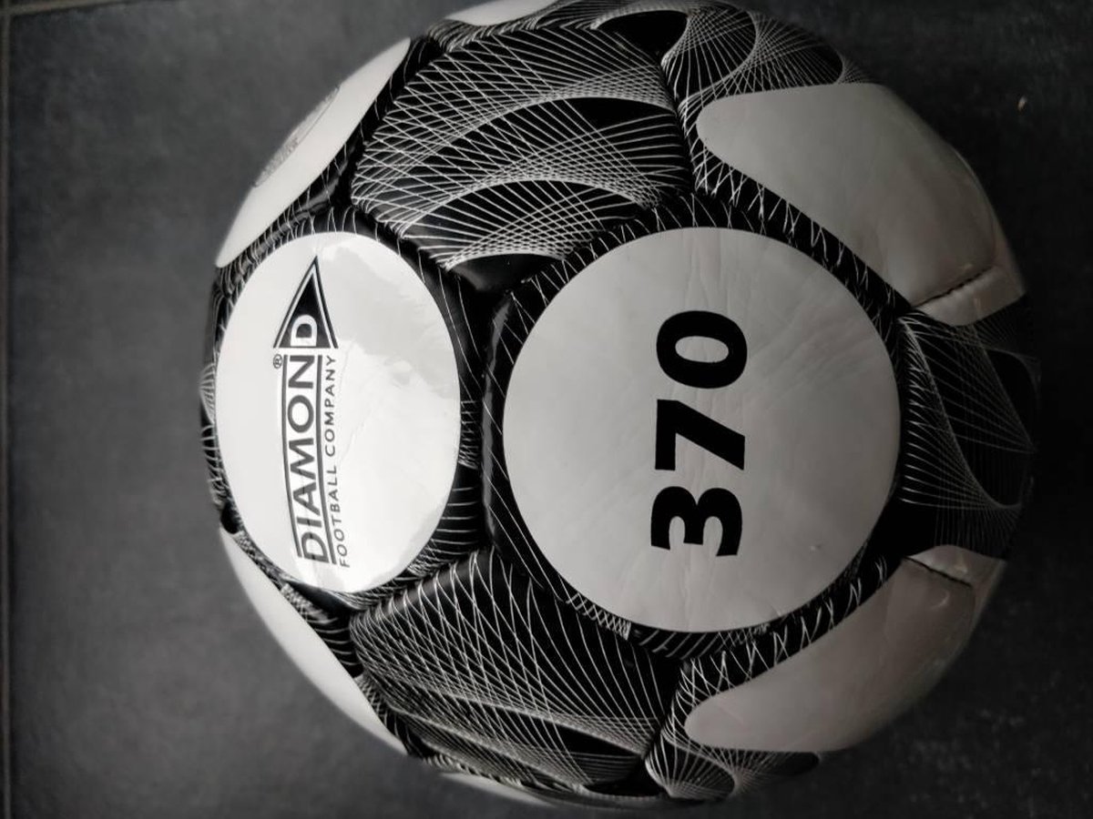 Ballon d'entraînement Pro Trainer 370 grammes | bol.com