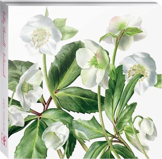 Glebe Cottage The Eco-Friendly Card Company Notecard ~ Kaartenmapje ...